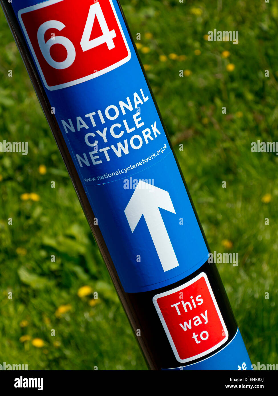 Sustrans National Cycle Network direction sign on a pole in Newark on ...