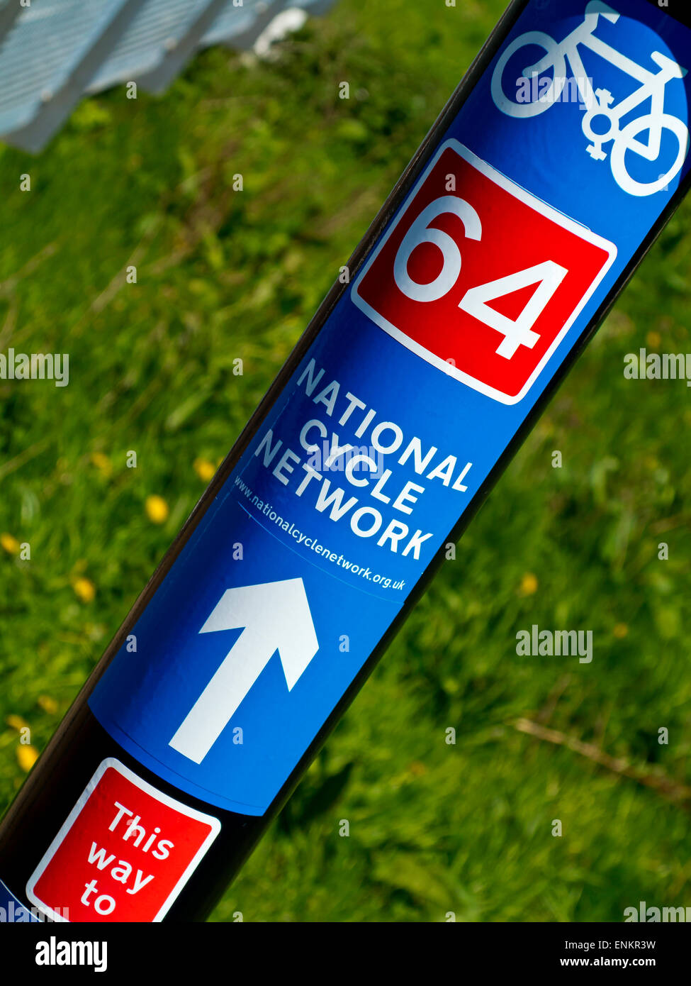 Sustrans National Cycle Network direction sign on a pole in Newark on ...