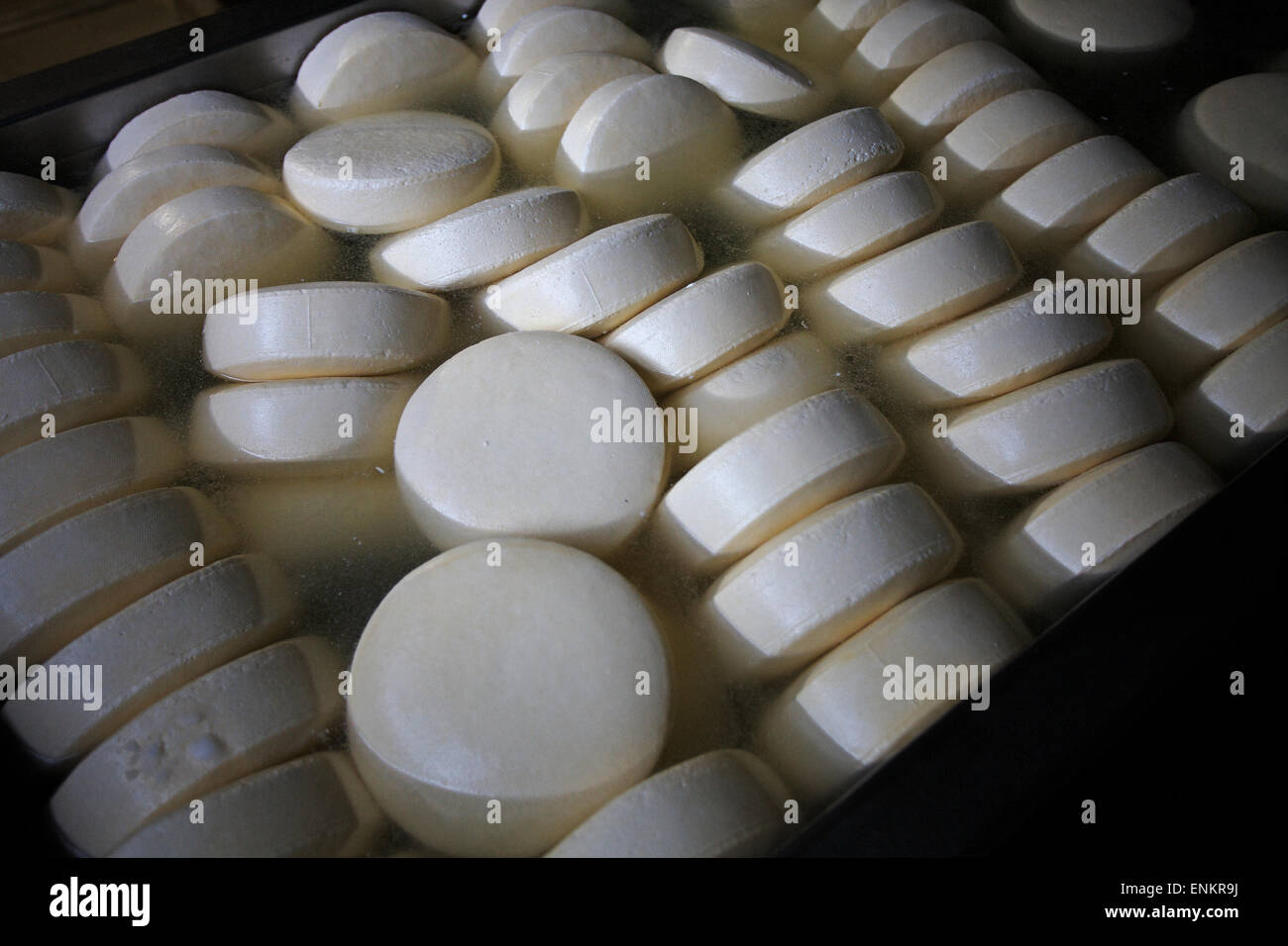 Cheese resting in a water bath Stock Photo - Alamy