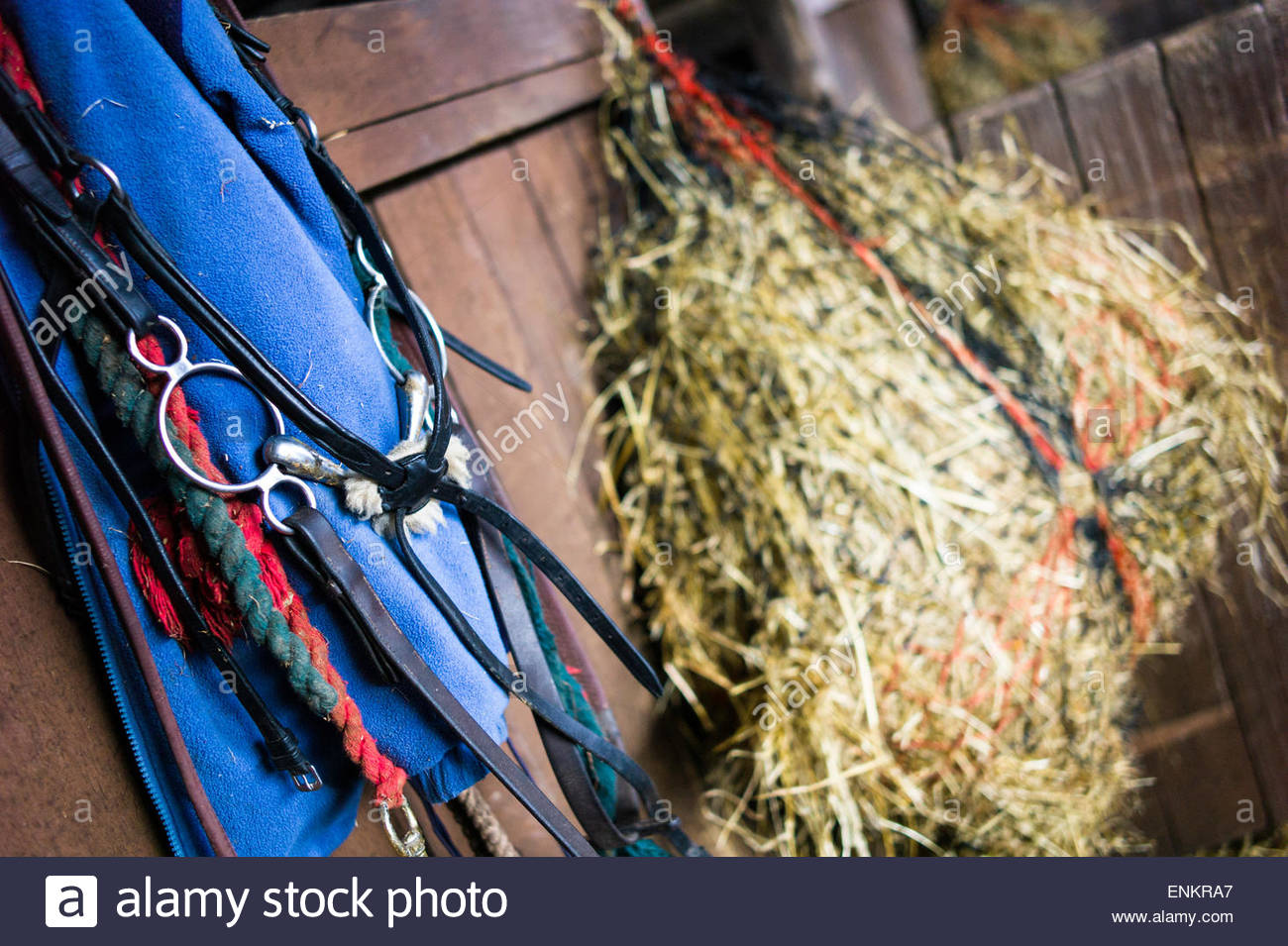 Bridle And Bit High Resolution Stock Photography and Images - Alamy