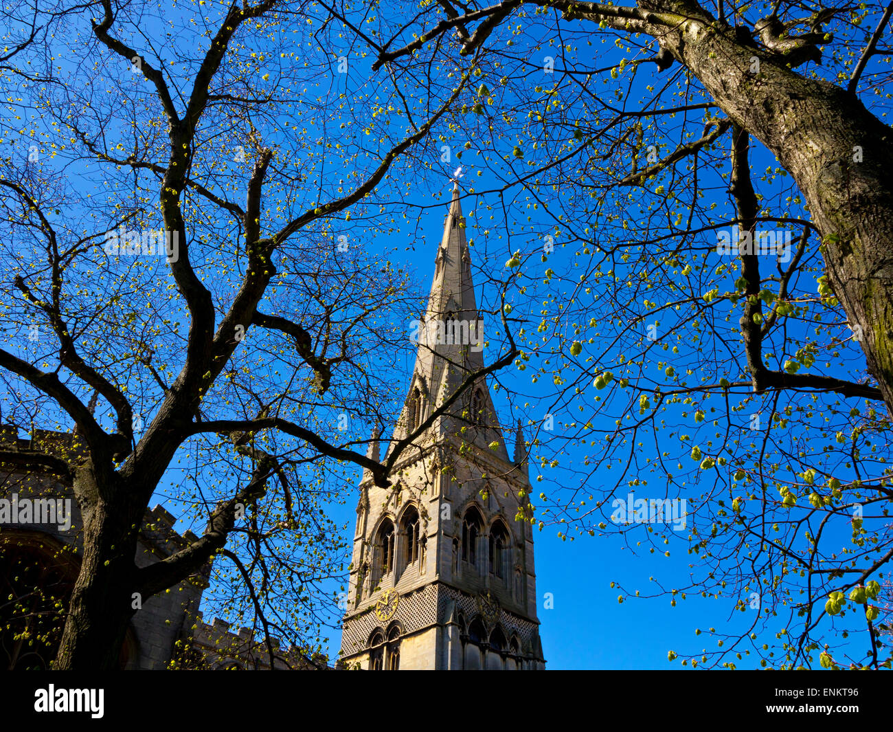 Spire of St Mary Magdalene Church in Newark on Trent a traditional ...