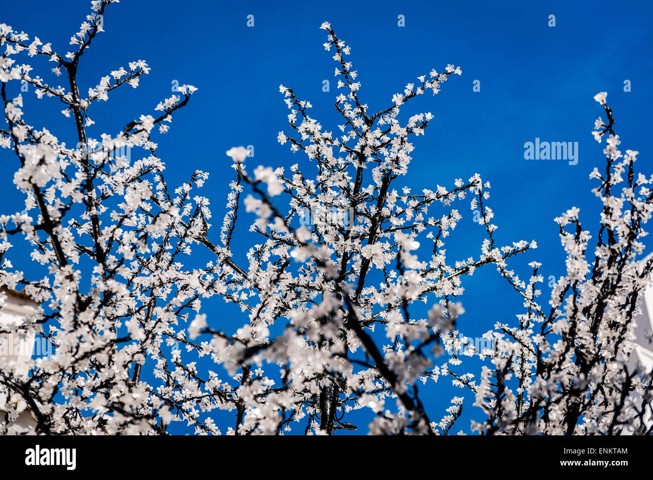 Led tree twigs Stock Photo - Alamy