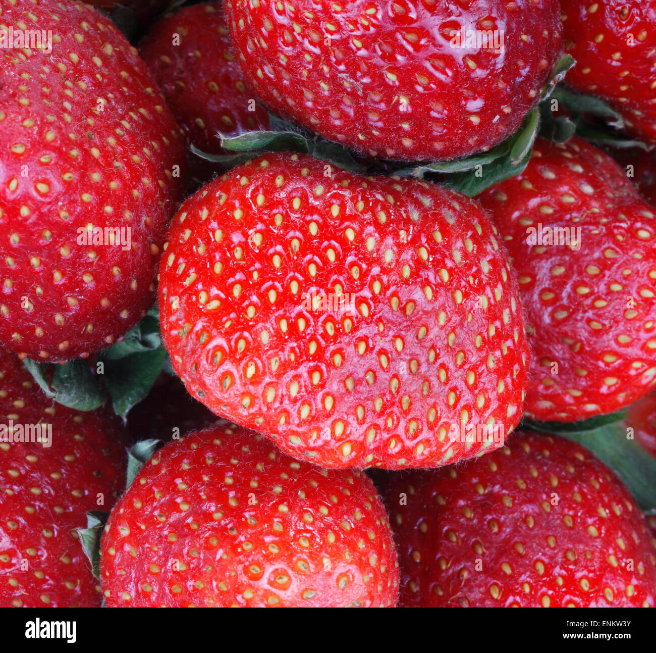 Many strawberry hi-res stock photography and images - Alamy