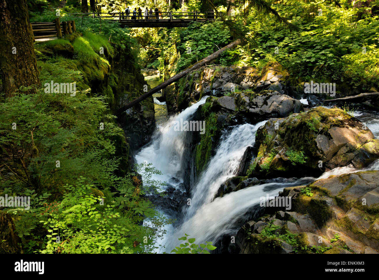 Sol duc falls hi-res stock photography and images - Alamy