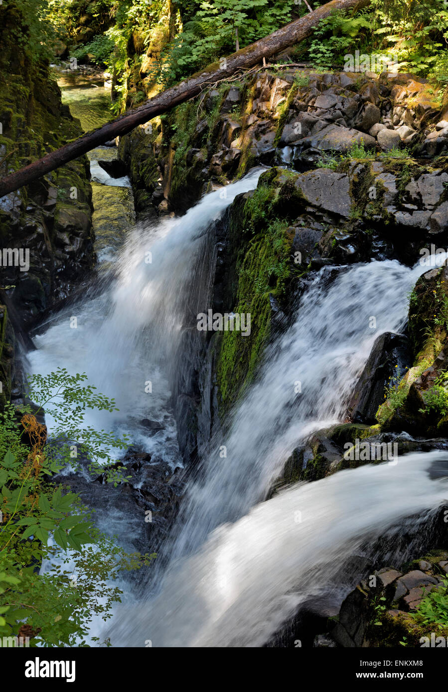 Sol Duc Waterfall High Resolution Stock Photography and Images - Alamy