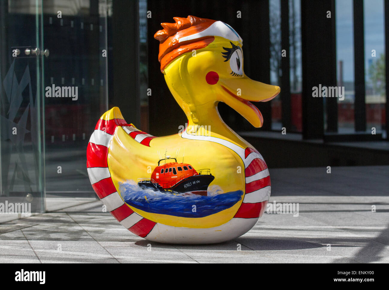 Liverpool, Merseyside, UK 7th May, 2015 Giggles Charity Ducks execute ...