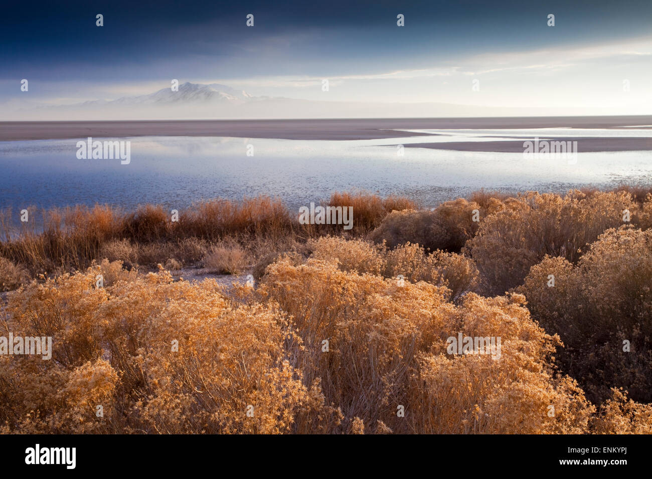 Antelope Island State Park at sunset, Utah Stock Photo - Alamy