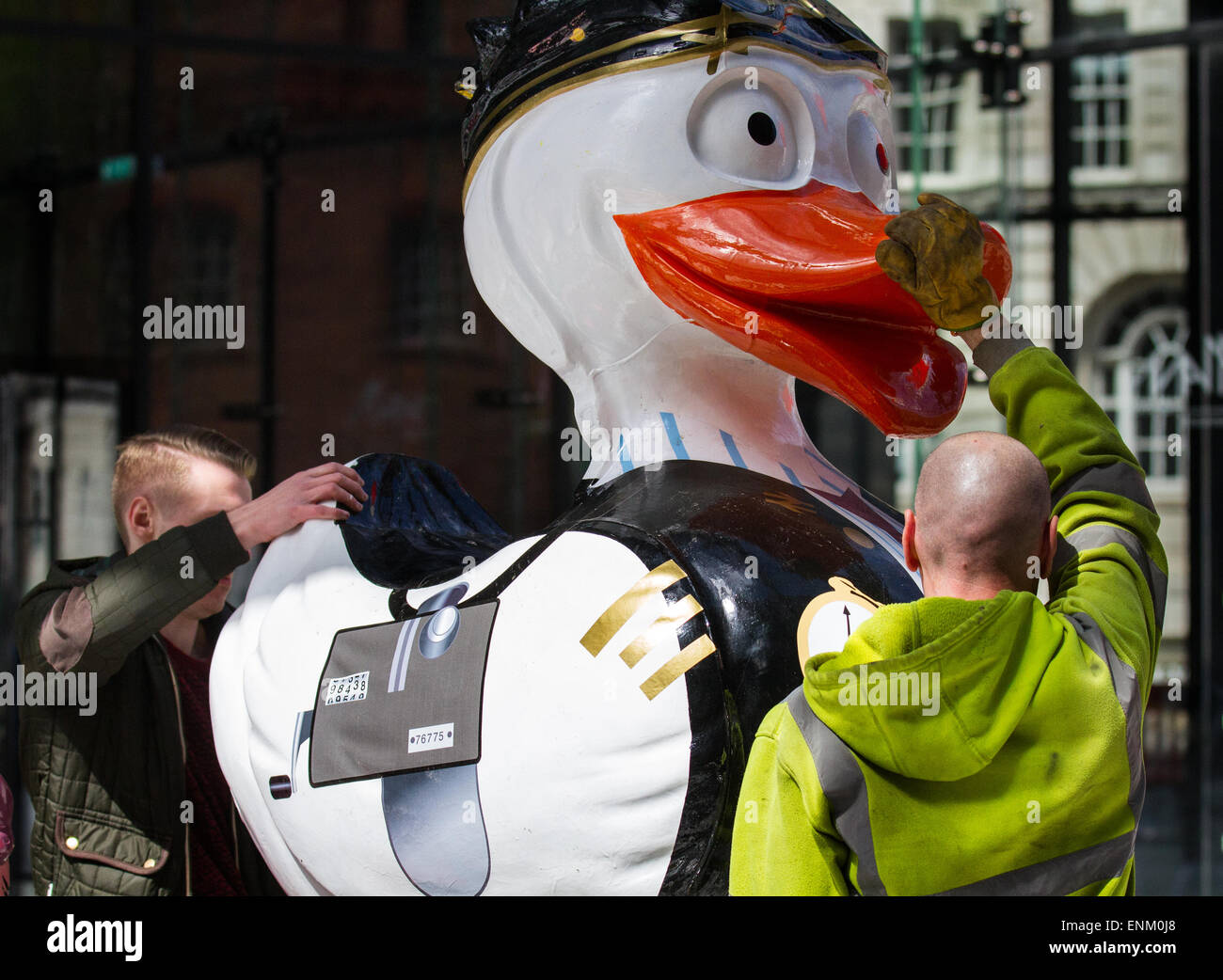 Liverpool, Merseyside, UK 7th May, 2015 Giggles Charity Ducks execute ...
