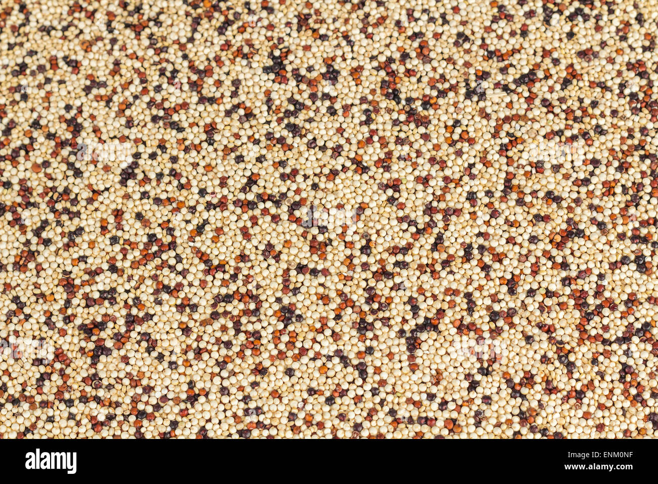Mixed quinoa, a South American grain, in textured food background Stock ...