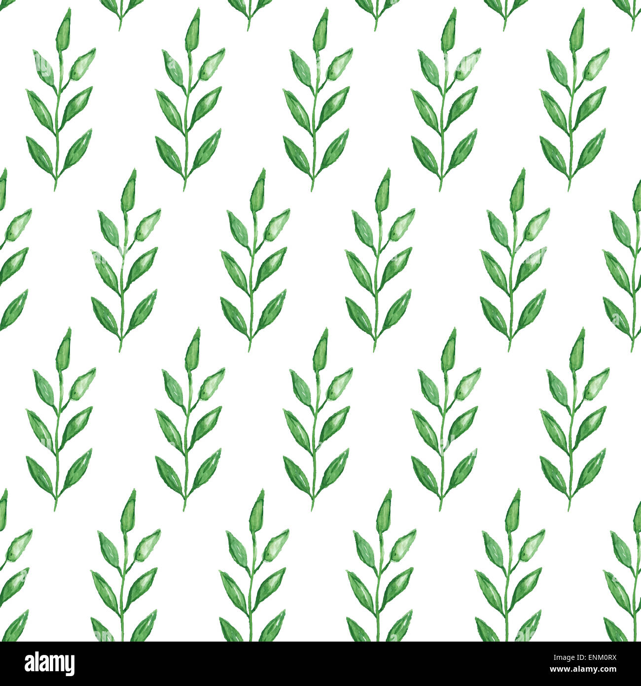 Herb pattern hi-res stock photography and images - Alamy