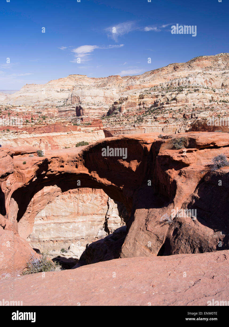 Cassidy Arch, Capitol Reef National Park, near Torrey, Utah Stock Photo ...
