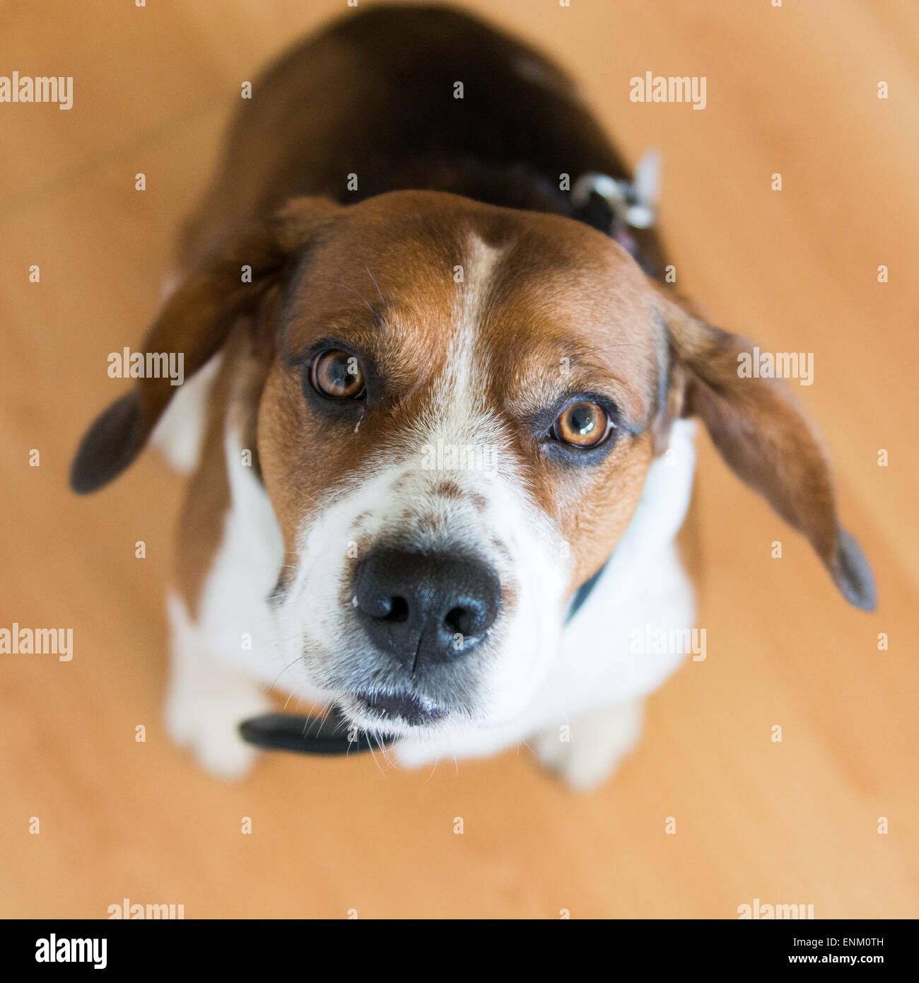Expectand hi-res stock photography and images - Alamy