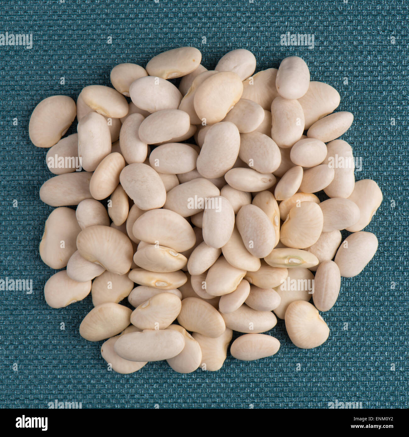Top view of circle of white beans against blue vinyl background Stock ...