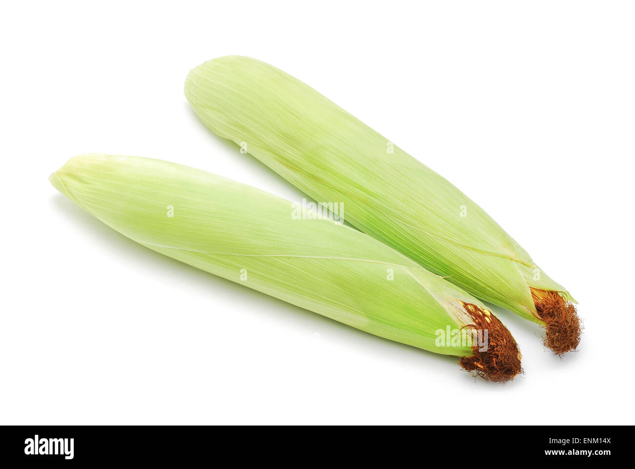 Two ear of corn hi-res stock photography and images - Alamy