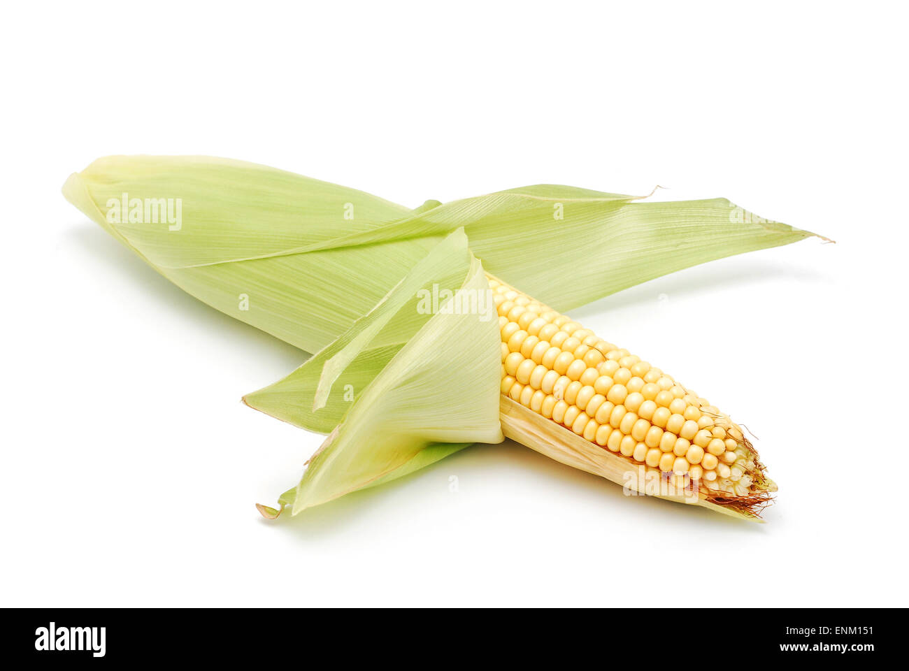 corn cob on white background Stock Photo - Alamy