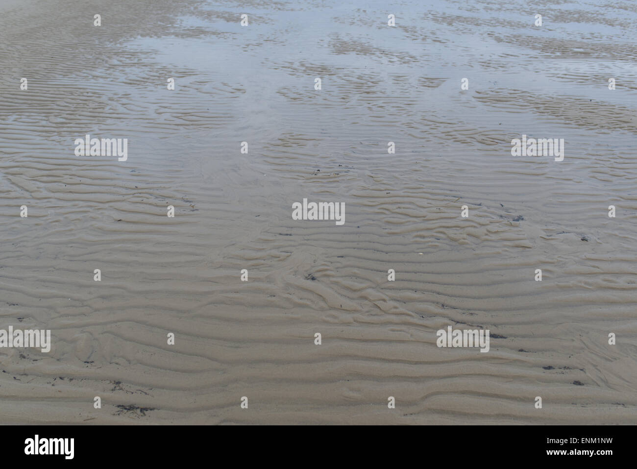 Detail sand ripples at a beach at ebb tide Stock Photo - Alamy