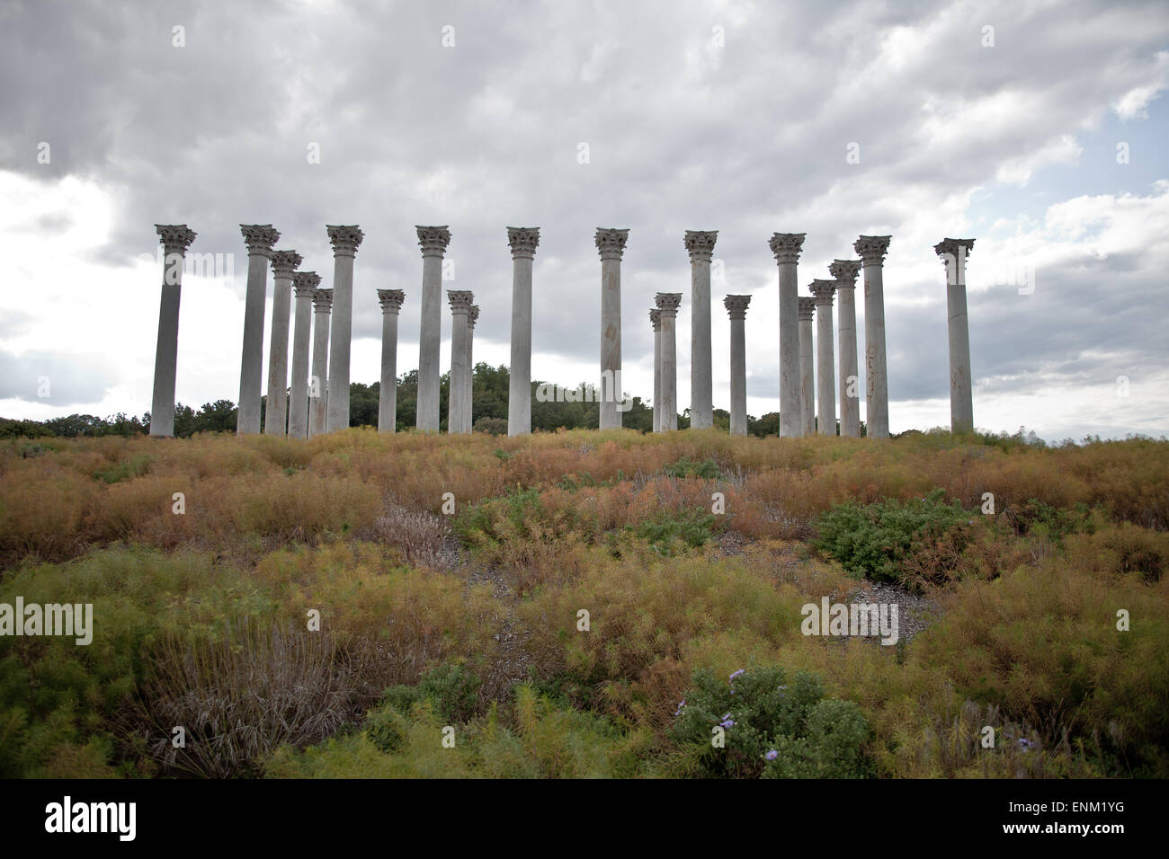 Washington arboretum dc hi-res stock photography and images - Alamy