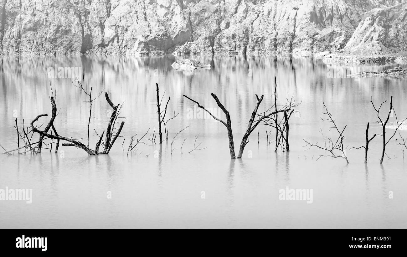 Small death Black and White Stock Photos & Images - Alamy