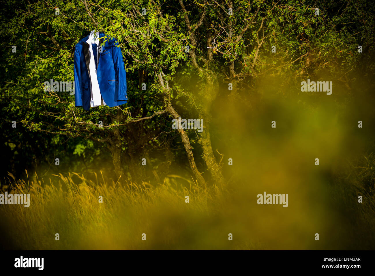 Shirt hanging from tree hi-res stock photography and images - Alamy