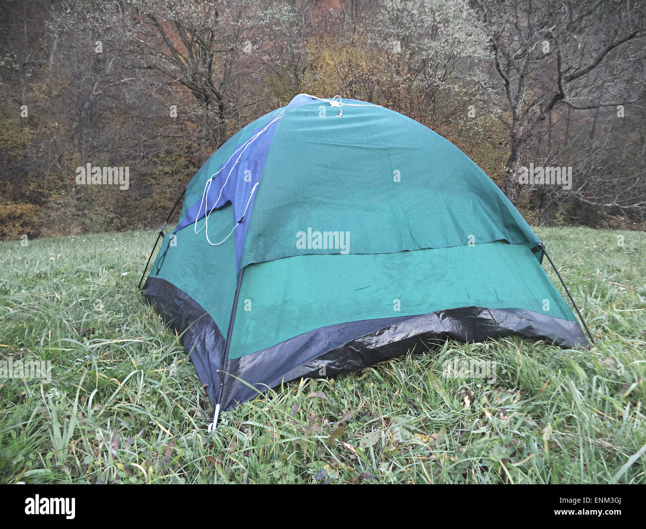 Tent and pavilion camping in campground at national park Stock Photo ...