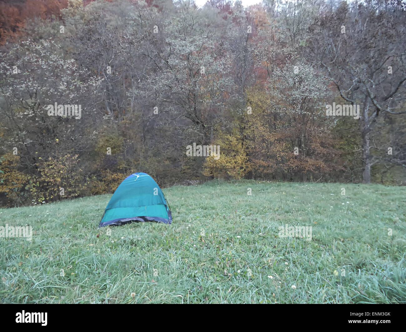Tent and pavilion camping in campground at national park Stock Photo ...