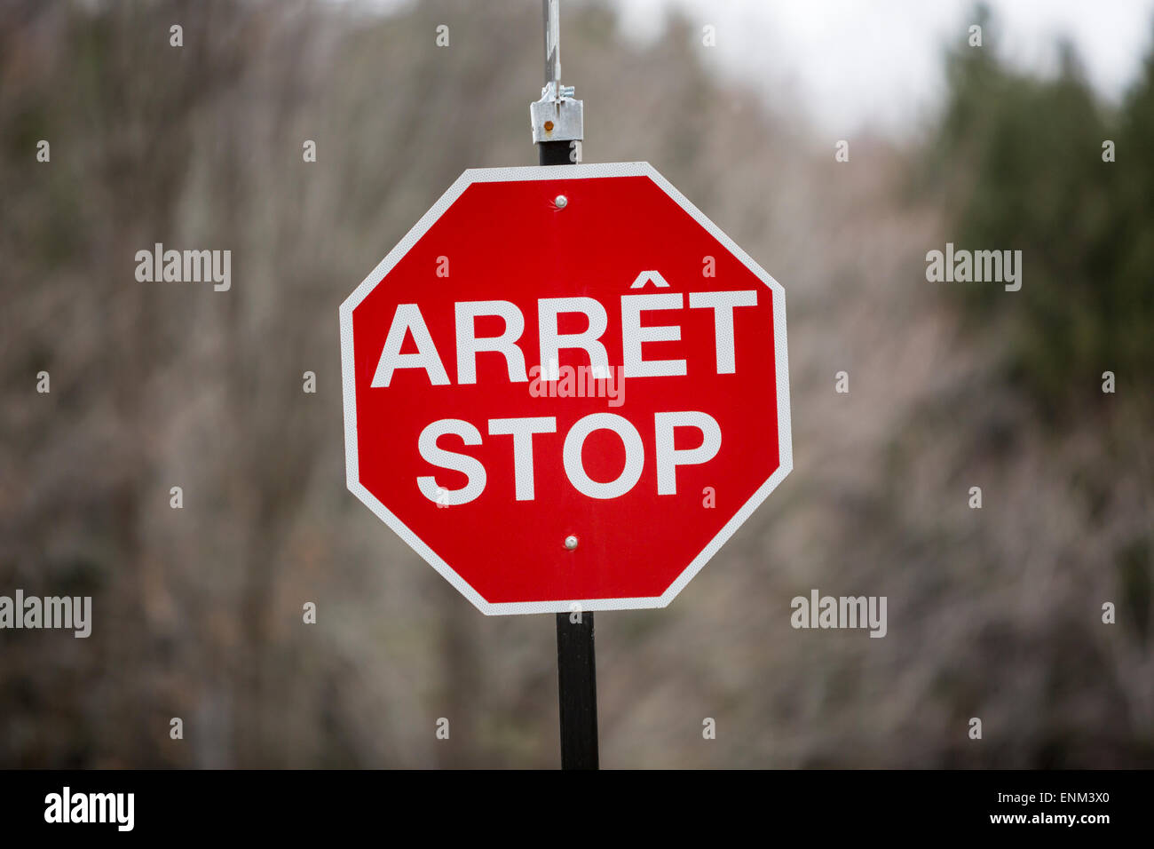 North America, Canada, Quebec, bilingual stop sign Stock Photo - Alamy
