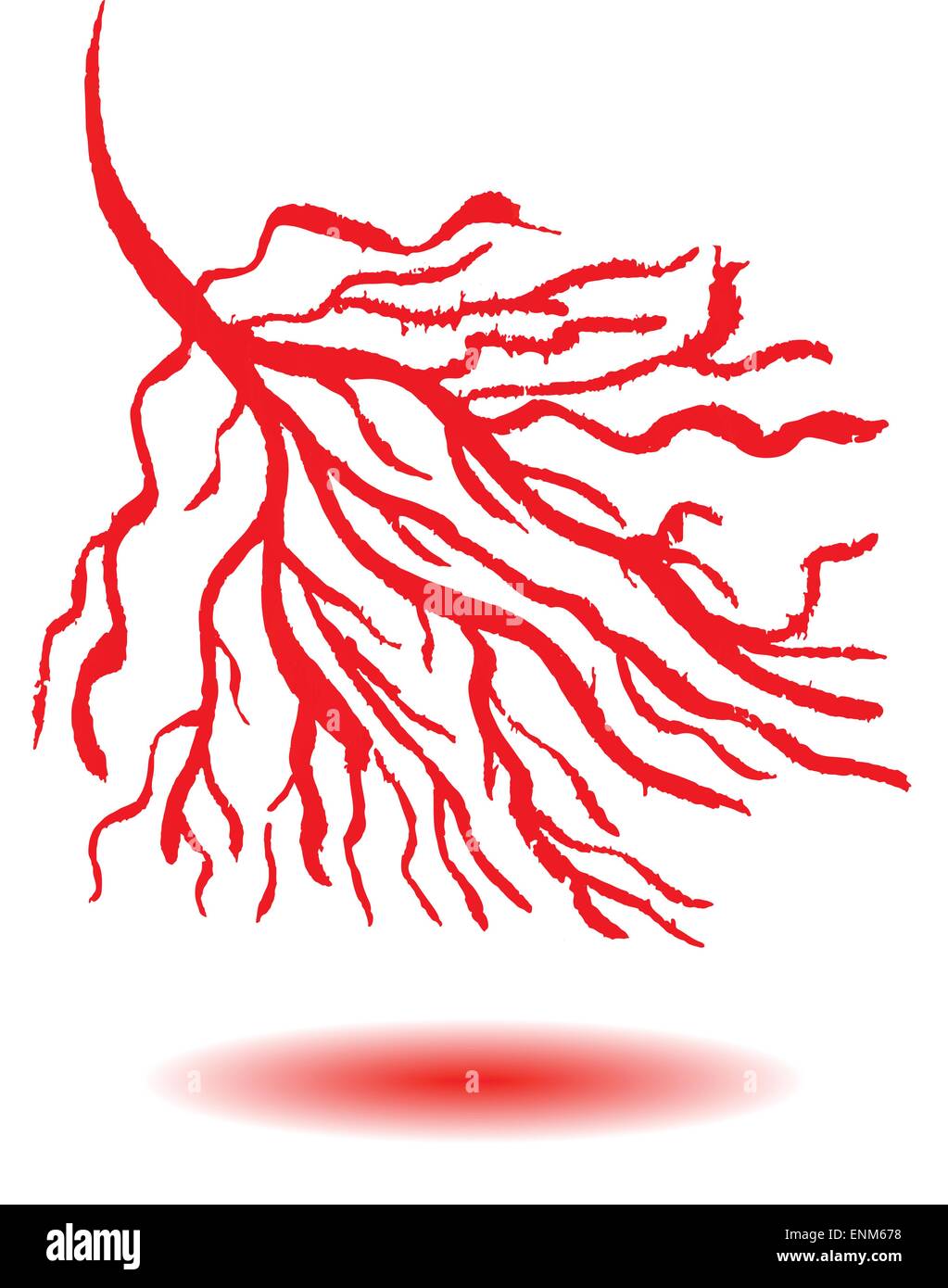 Design red watercolour background. Blood vessels concept. Vector ...