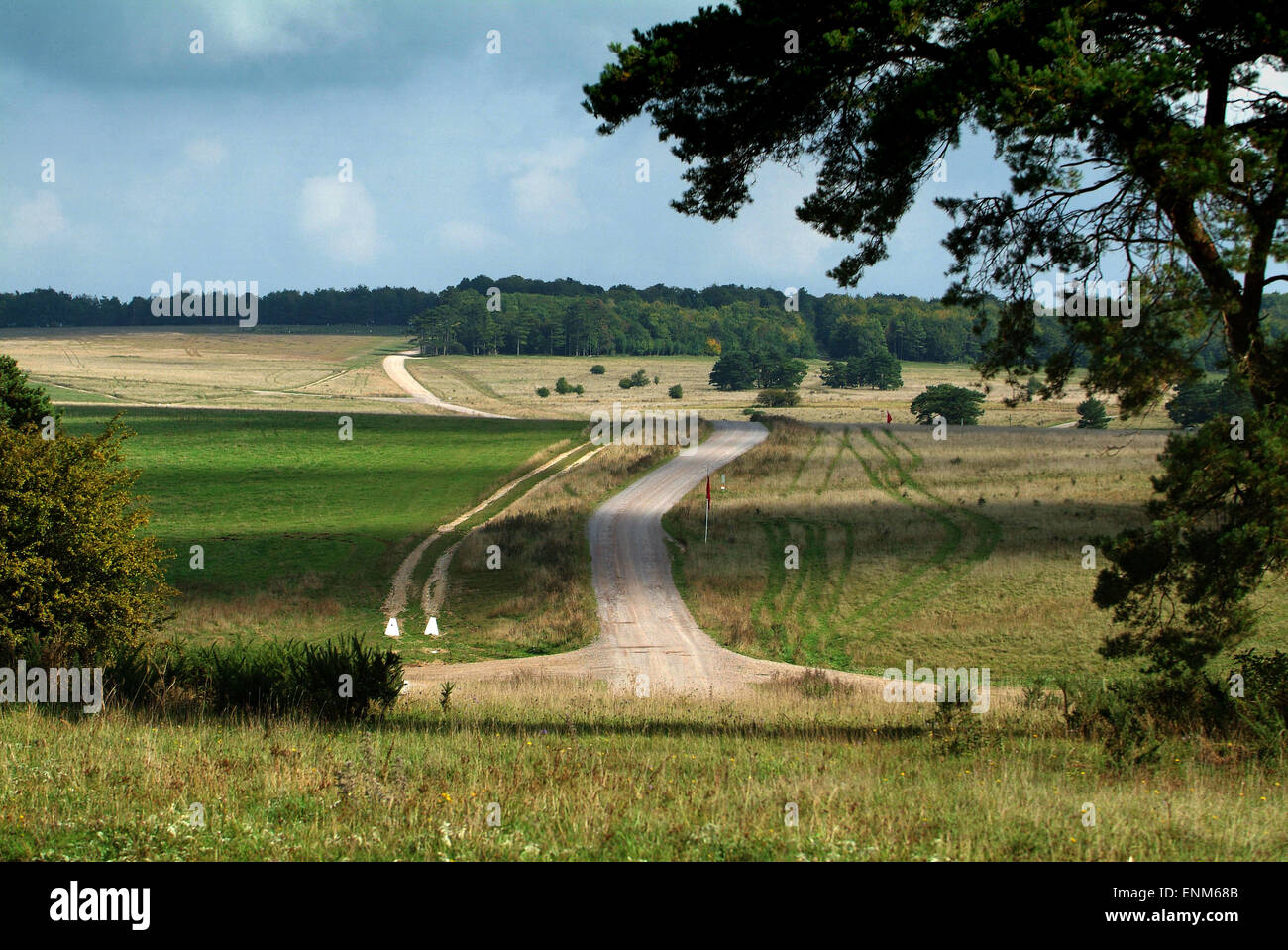 Salisbury plain army hi-res stock photography and images - Alamy