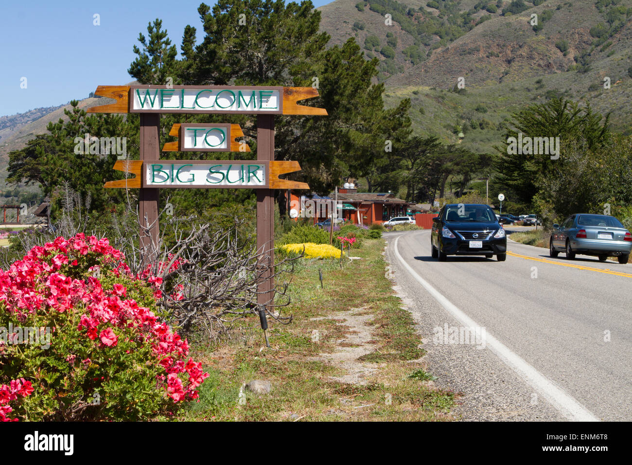 Wild flowers growing alongside highway one (Pacific coast highway ...