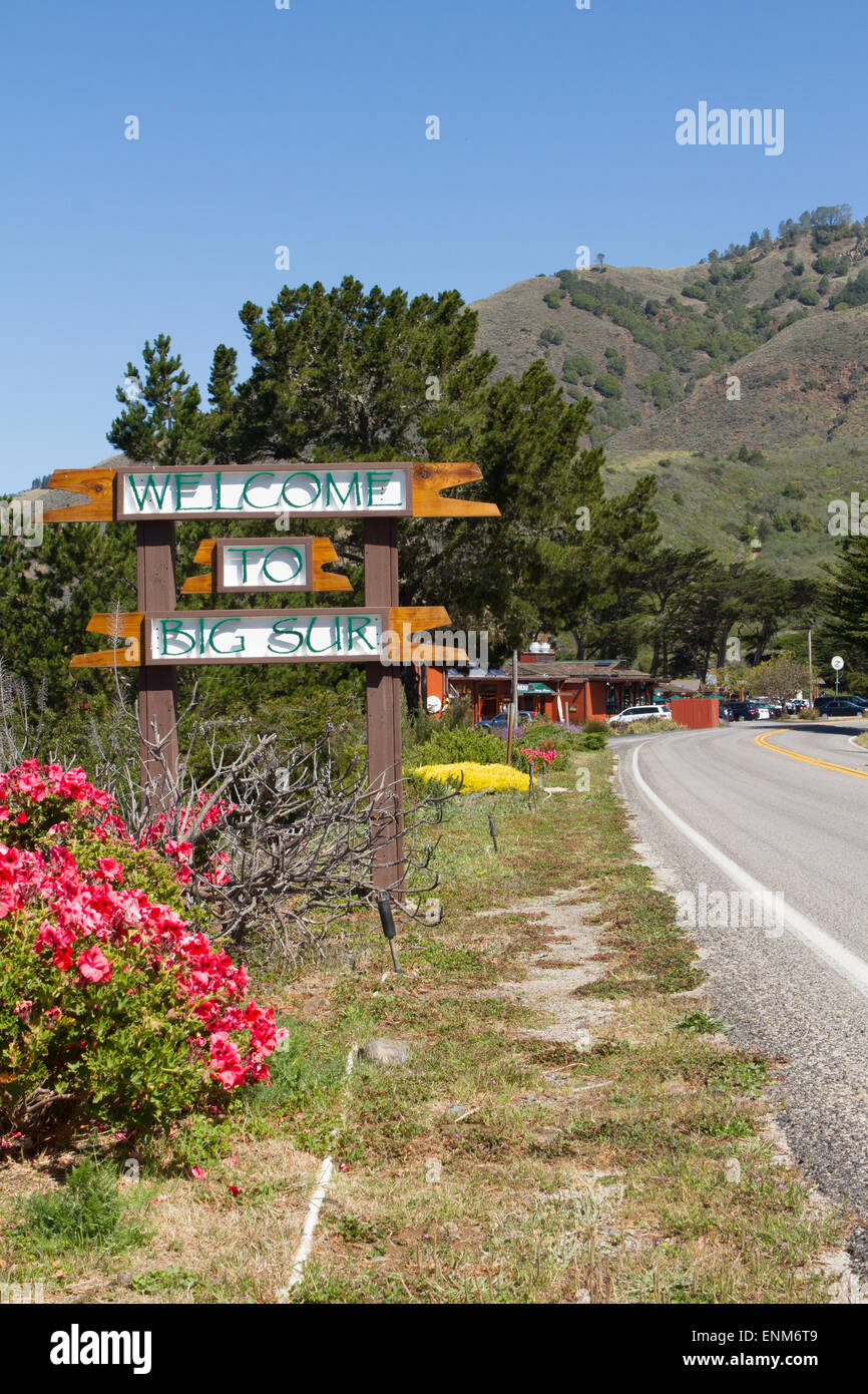 Wild flowers growing alongside highway one (Pacific coast highway ...