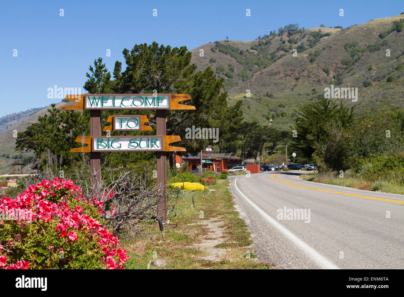 Wildflowers alongside highway hi-res stock photography and images - Alamy