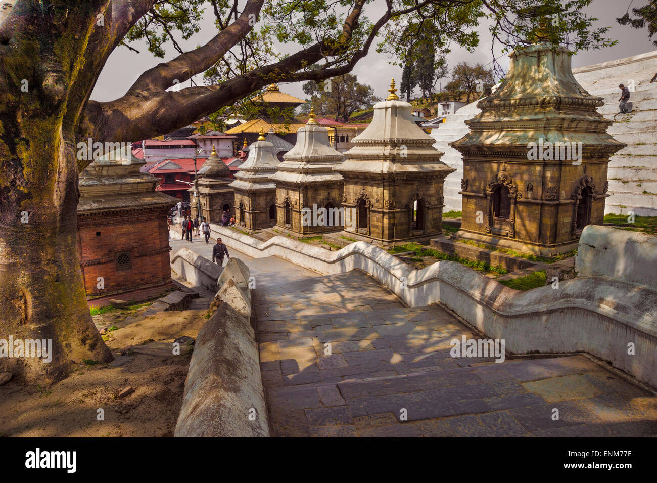 Chaityas at Pashupatinath Temple in Kathmandu, Nepal Stock Photo - Alamy