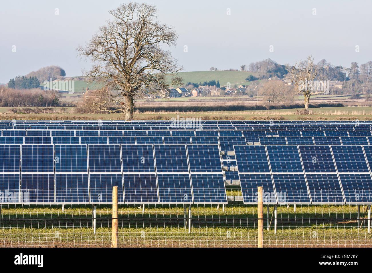 Solar panels in a farm field,Somerset,England Stock Photo - Alamy