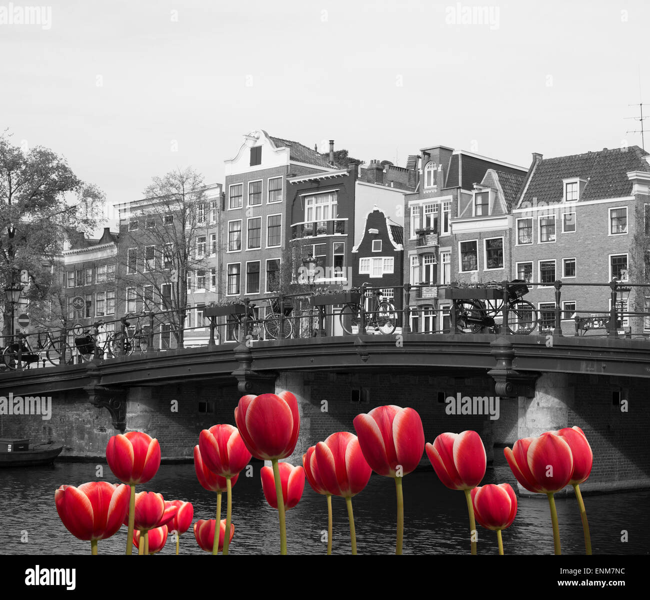Spring flowers amsterdam hi-res stock photography and images - Alamy