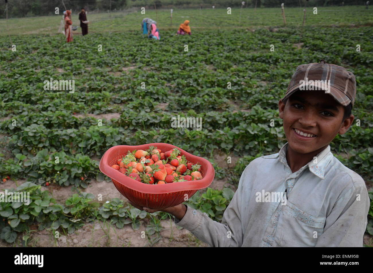 Fruit farmers pakistan hi-res stock photography and images - Alamy