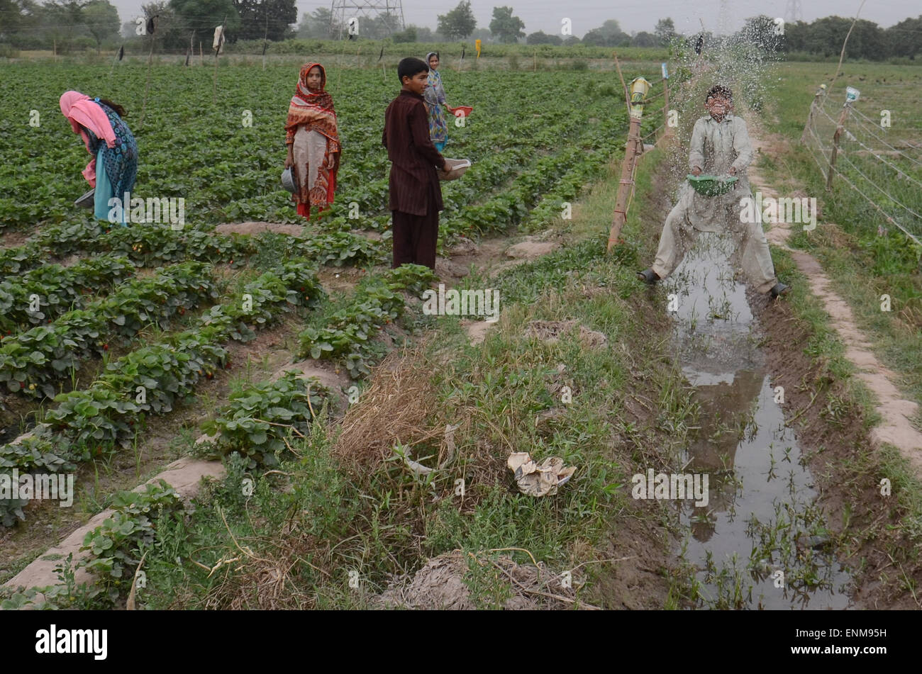 Fruit farmers pakistan hi-res stock photography and images - Alamy