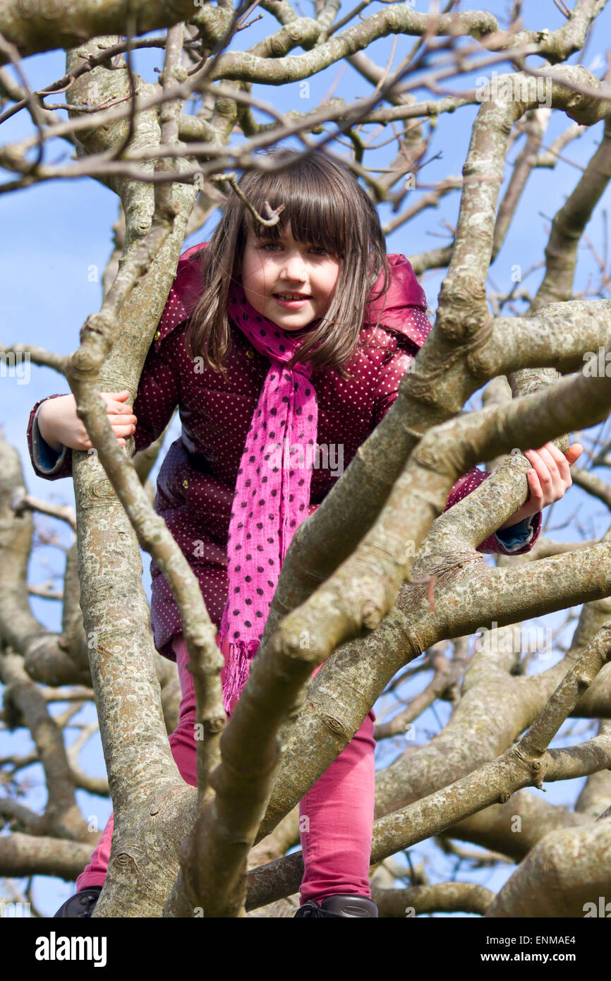 Girl in tree Stock Photo - Alamy