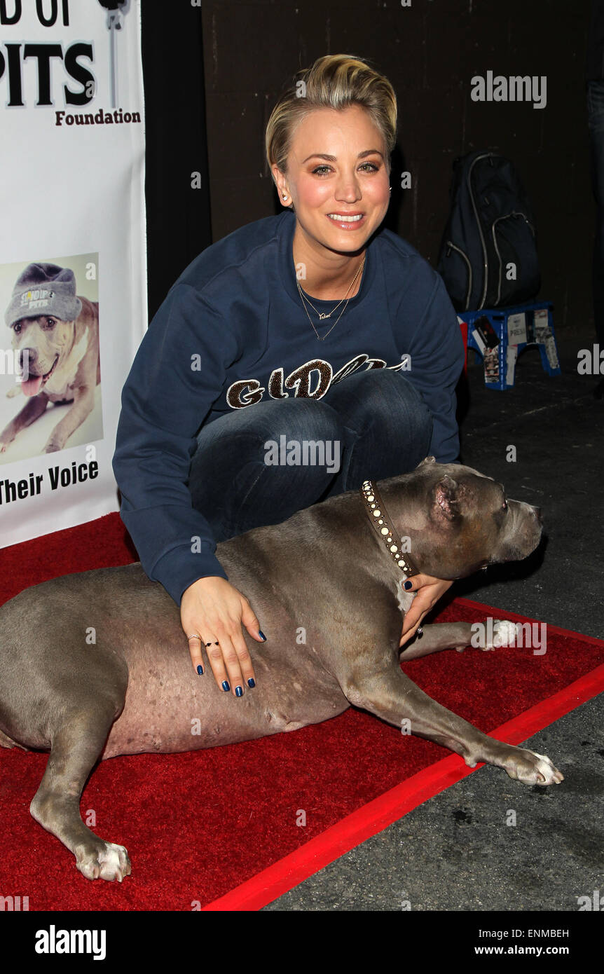 4th annual "Stand Up For The Pits" dog appreciation and adoption ...