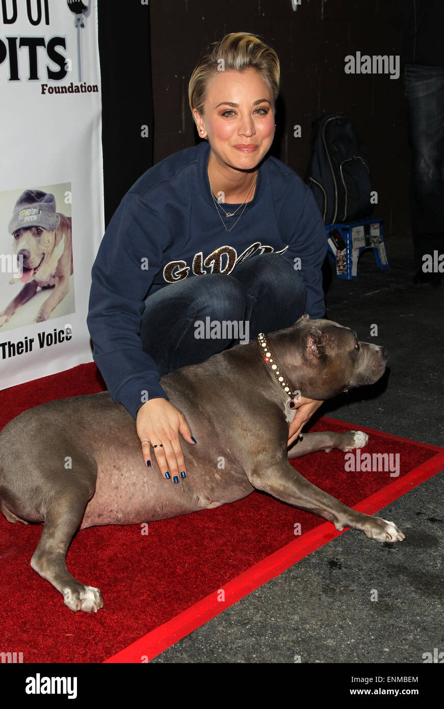 4th annual "Stand Up For The Pits" dog appreciation and adoption ...