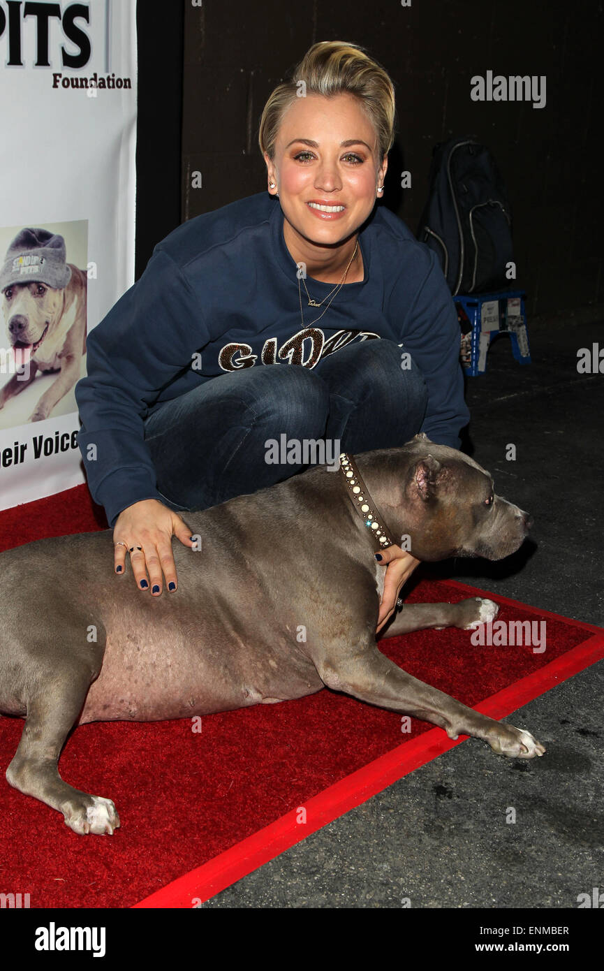 4th annual "Stand Up For The Pits" dog appreciation and adoption ...