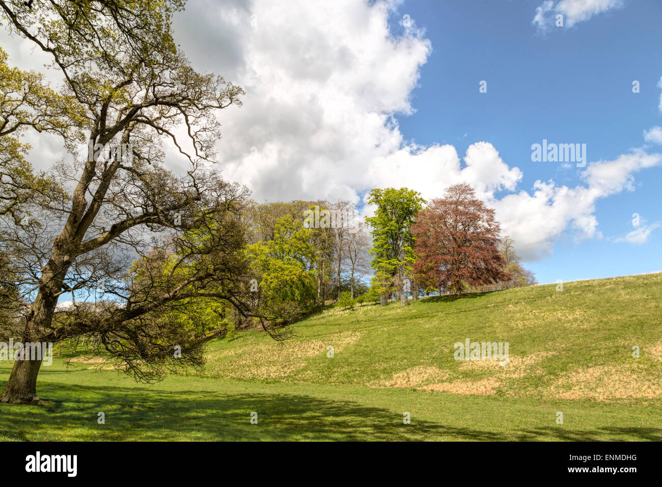 Colorful trees in the landscaped park by Lancelot 'Capability' Brown at ...