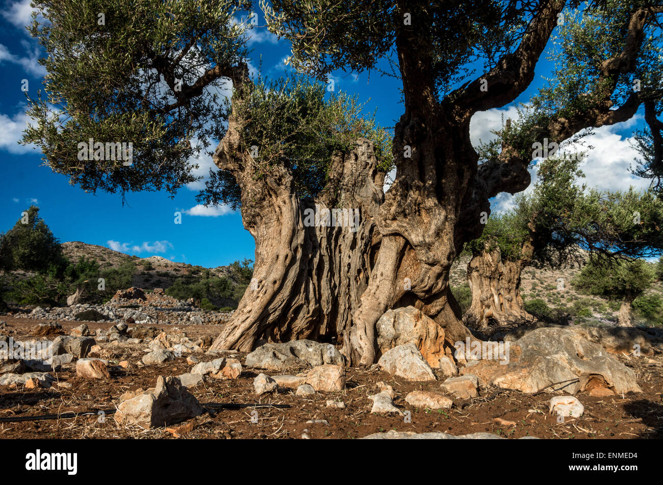 Ancient crete hi-res stock photography and images - Alamy