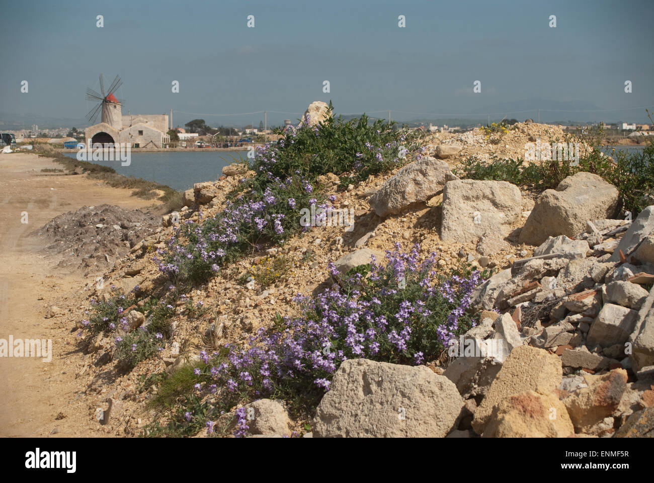wild flowers growing in pile of rubble and windmill at Trapani salt ...