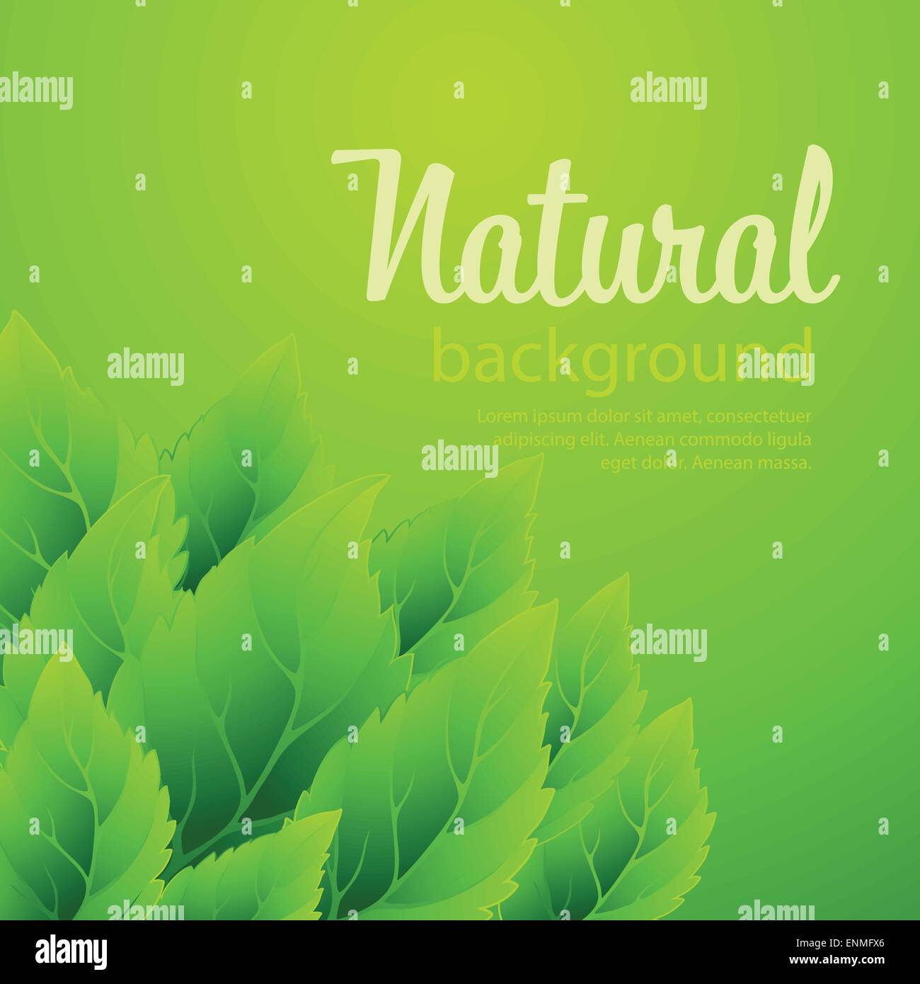 Natural vector background with green spring leaves EPS10 Stock Vector ...