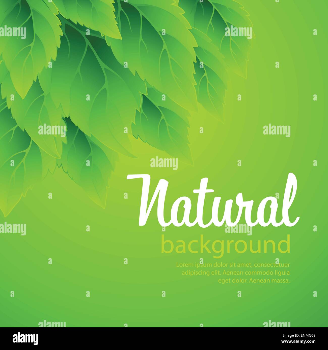 Natural vector background with green spring leaves EPS10 Stock Vector ...