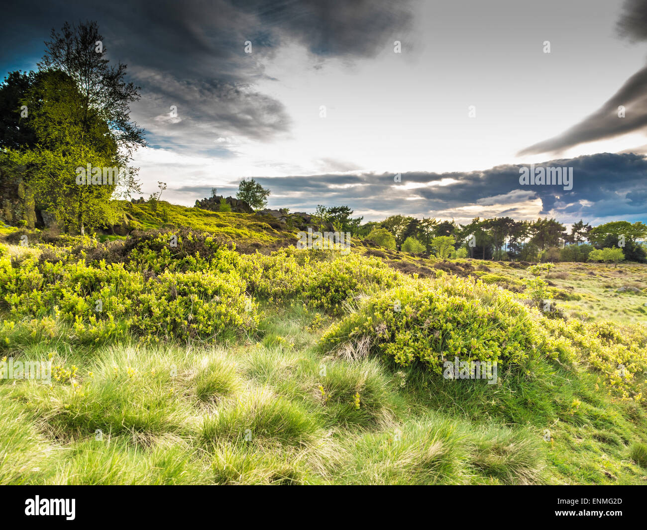Whitwick High Resolution Stock Photography and Images - Alamy