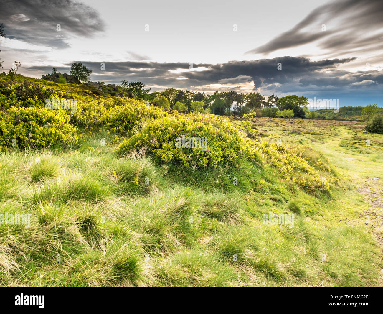 Whitwick hi-res stock photography and images - Alamy