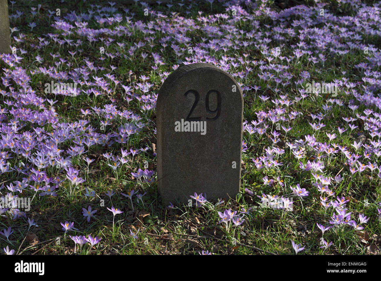 Marking stone hi-res stock photography and images - Alamy