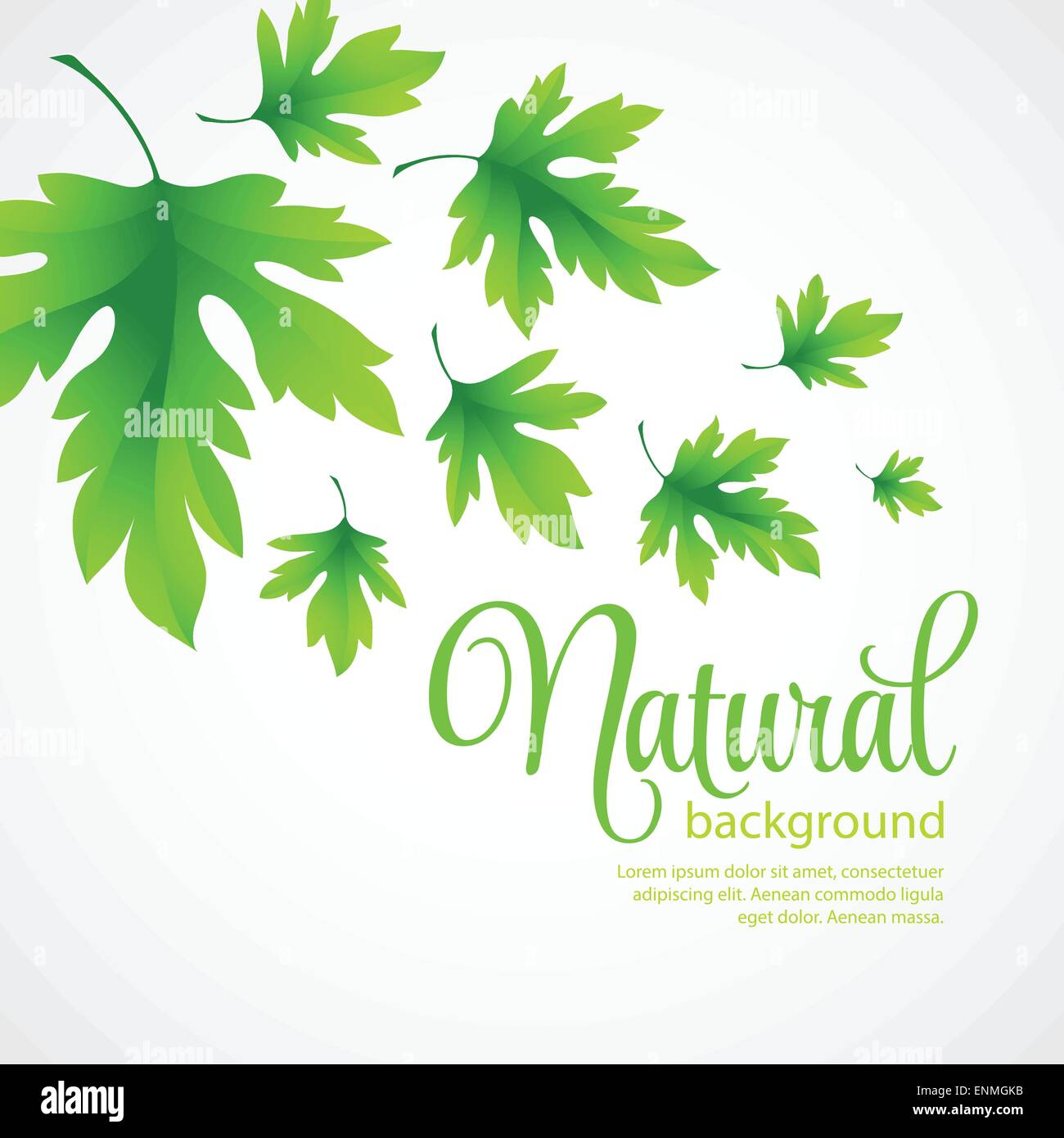 Natural vector background with green spring leaves EPS10 Stock Vector Image & Art - Alamy