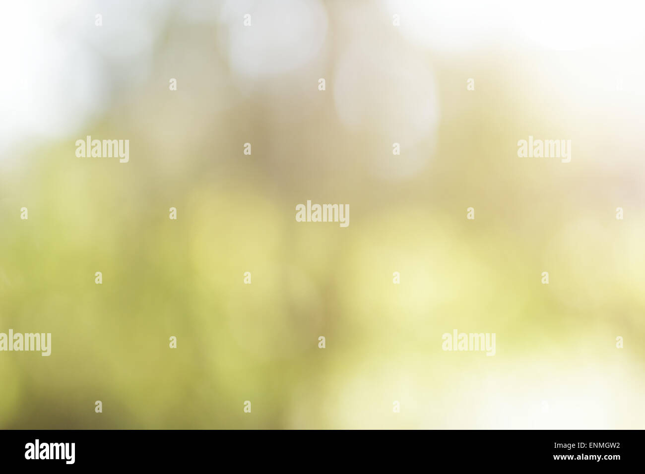 Abstract real beauty nature hi-res stock photography and images - Alamy